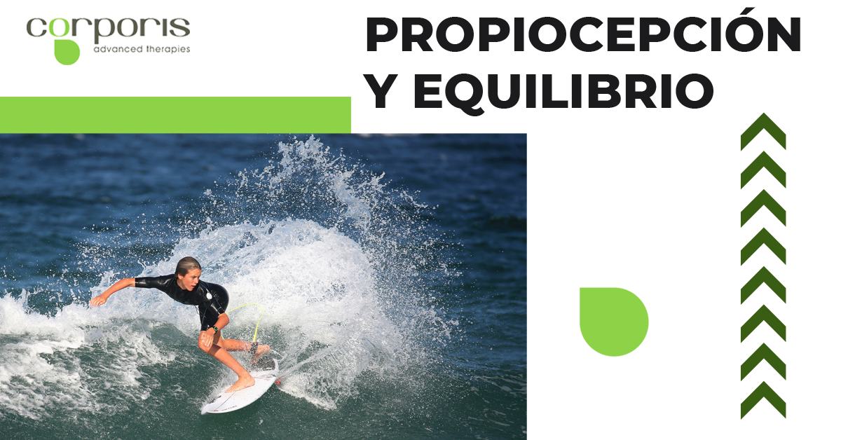 ¿QUÉ ES LA PROPIOCEPCIÓN? - Corporis Fisioterapia - Marbella
