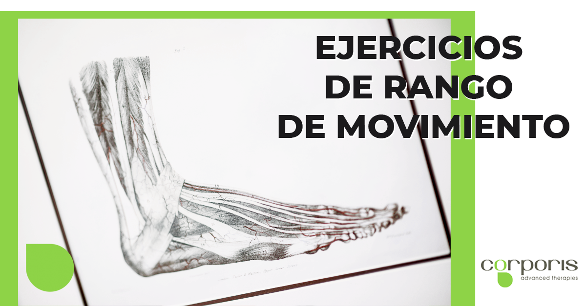 Ejercicios de rango de movimiento - Corporis Fisioterapia - Marbella