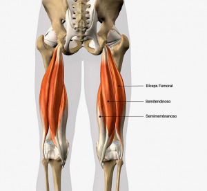 ISQUIOTIBIALES: LESIONES, DOLENCIAS Y CLAVES PARA SU RECUPERACIÓN